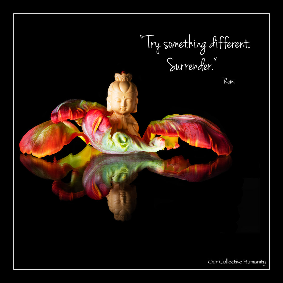 Try Something Different. Surrender. – Our Collective Humanity Shop