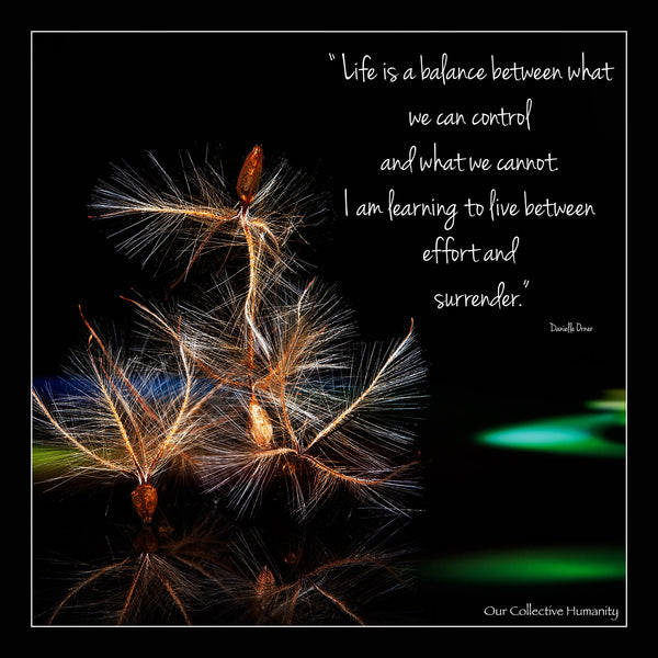 balance and surrender